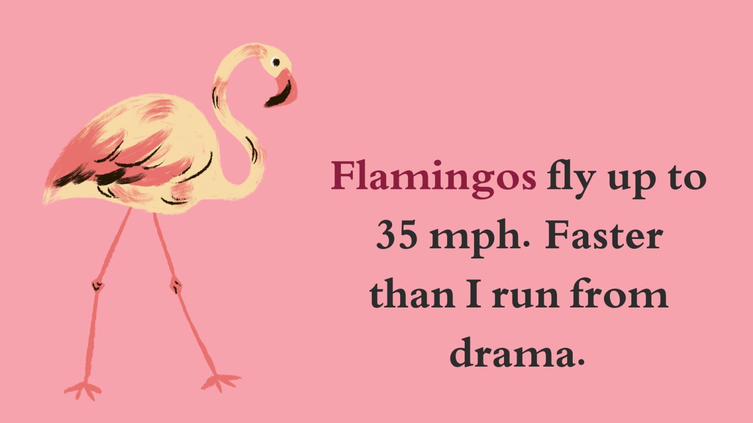 200+ Flamingo Jokes That’ll Make You Stand on One Leg Laughing - Puns Art